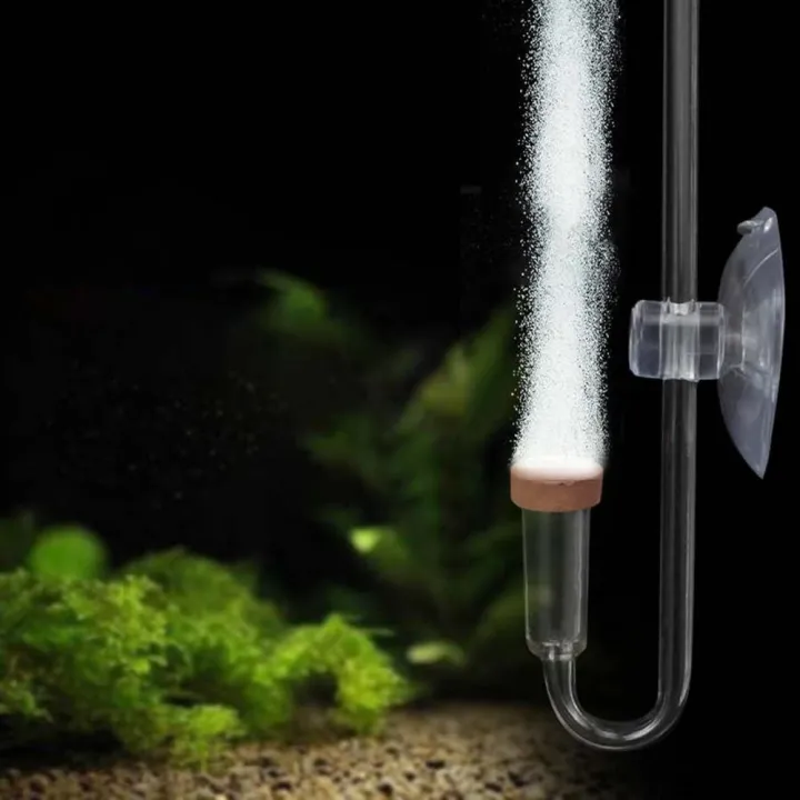 Suction Cup Mini Fish Live Water Grass Regulator U Shape Bubble Counter ...