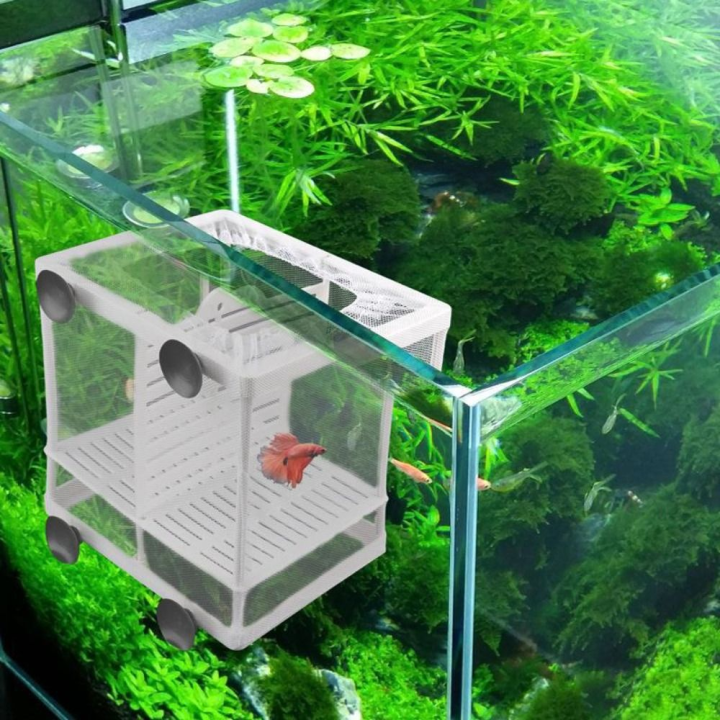 Lightweight Hanging Aquarium Aquarium Accessory Isolation Net for Baby ...