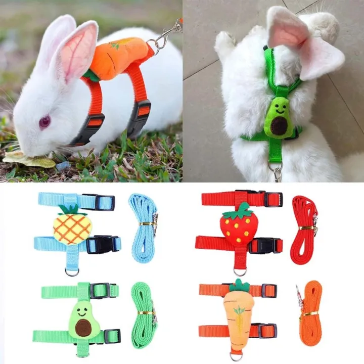 Soft Cute Ferrets Piggies Hedgehogs Outdoor Walking With Safe Buckle ...