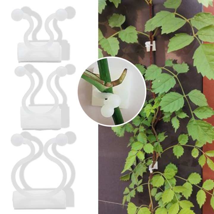 10/50PCS Invisible Plants Holder Climbing Plant Clip Rattan Clamp Wall ...