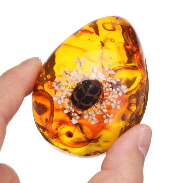 Beautiful Health Natural Amber Pendant Resin Animal Scorpion Ant Insect ...