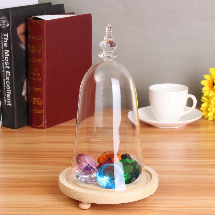 Glass Display HOT SELL Dome Cloche Bell Jar Flower Preservation w ...