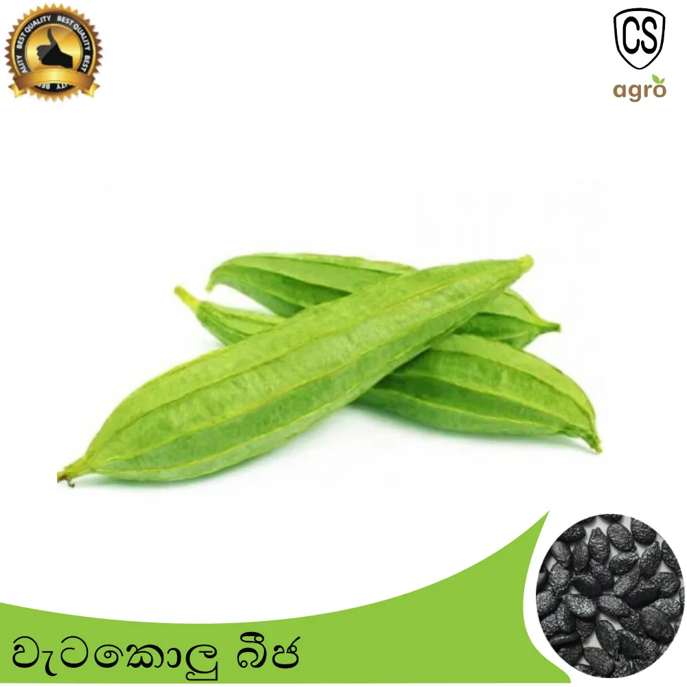 Wetakolu Beeja Luffa Local Seeds Agriculture Home වැටකොලු බීජ 2g | Daraz.lk