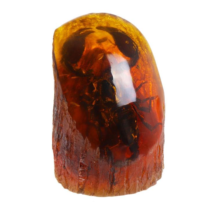 Amber King New Plants Insects Characteristics Decorative Pieces - Large ...