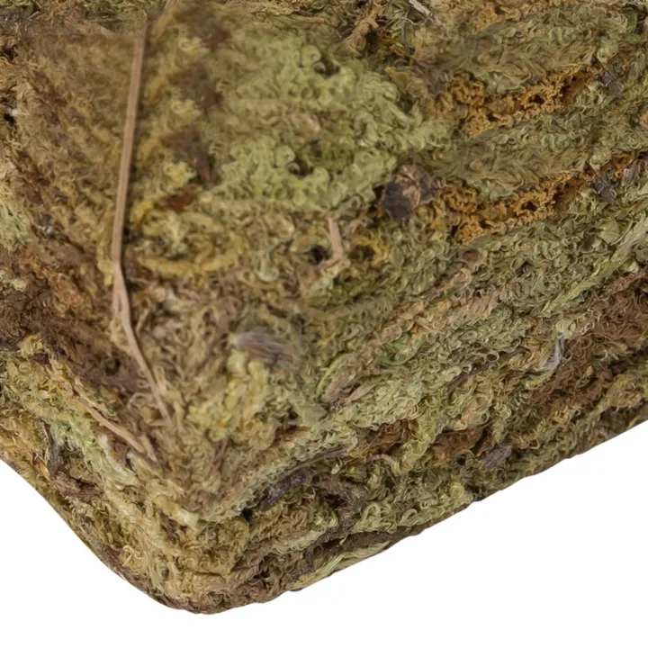 Reptile Sphagnum HOT SELL New Moss Terrarium Natural Forest ...