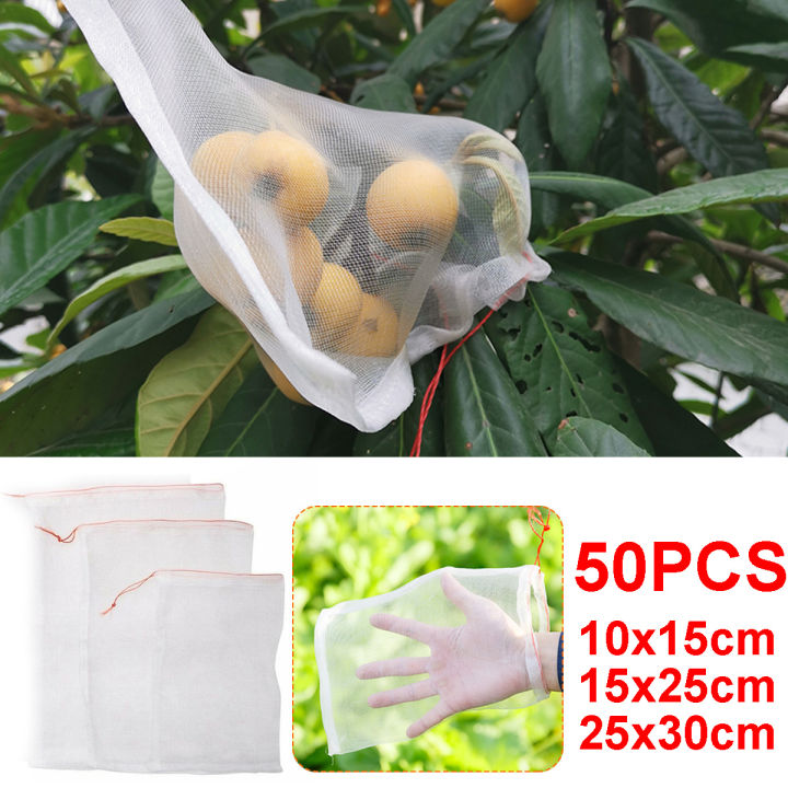 50pcs Fruit Protect Bags Agriculture Garden Fruit Vegetable Protection ...