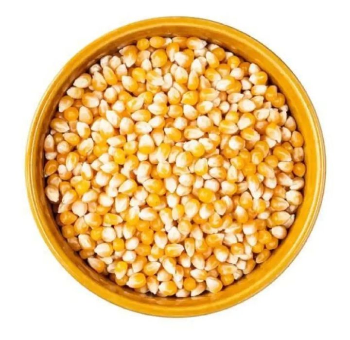 premium quality pop corn seeds 1kg | Daraz.com.bd