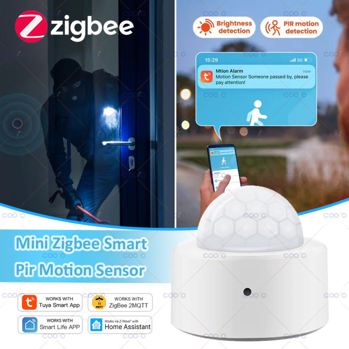 Tuya 2 in 1 Zigbee Mini PIR Motion Detector + Bright Lux Light Passive ...
