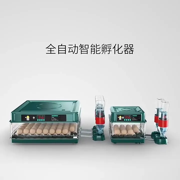 70 Eggs Incubator Intelligent Full Automatic Incubator Dual Supply AC ...