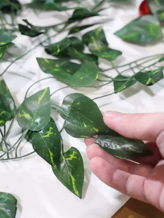 PACKIFY - Pack of 1 ,6 ,12 Artificial Money Plant bail Leaves for ...