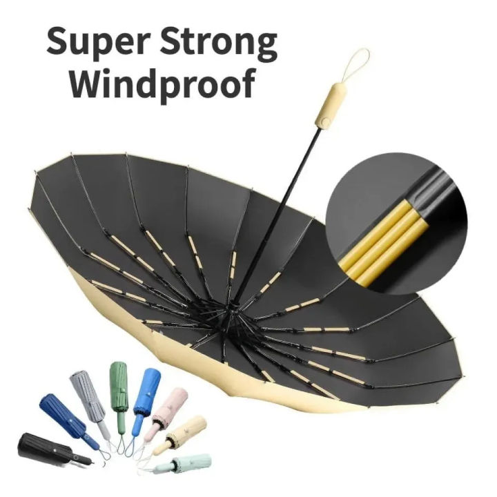 BMW 16 Ribs Auto Open & Close Umbrella – Big Size, 48 Bones, Windproof ...