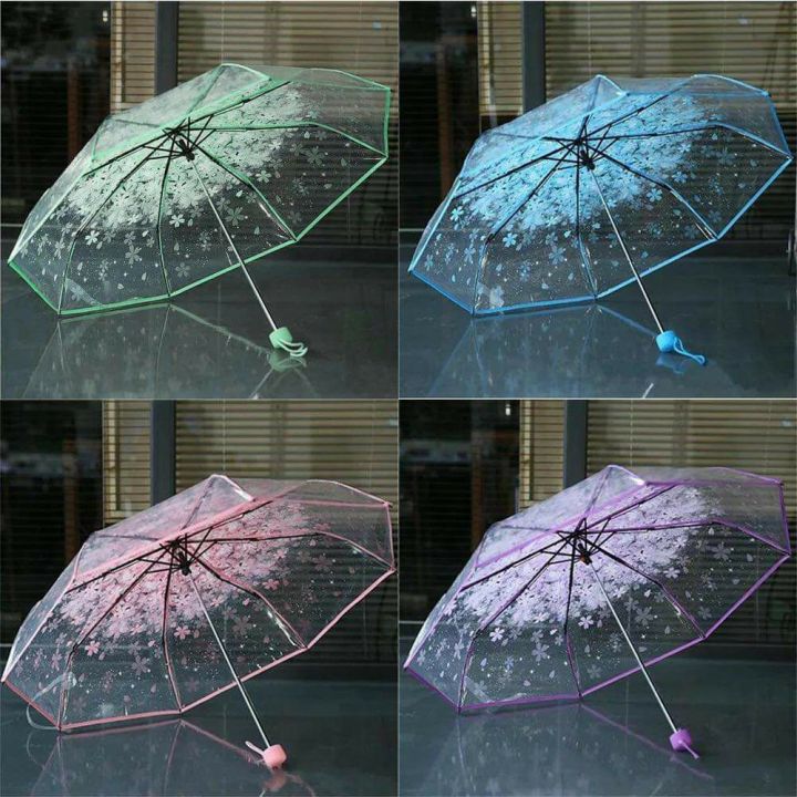 Transparent Chinese Umbrella(3-Fold) | Daraz.com.bd