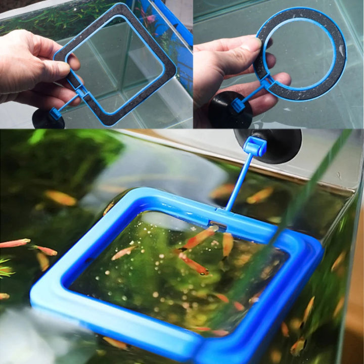 Prevent Feed Floating Everywhere Aquarium Square Circle Feeding Ring ...