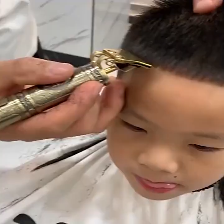 PROFESSIONAL VINTAGE t9 DRAGON STYLE TRIMMER FOR MEN, Usb Rechargeable ...