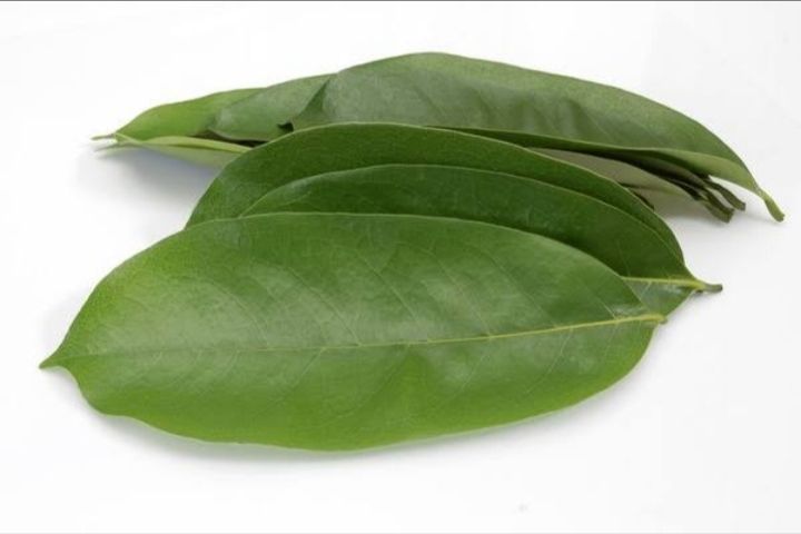 Corossol Leaves Soursop leaves 300 pcs | Daraz.com.bd