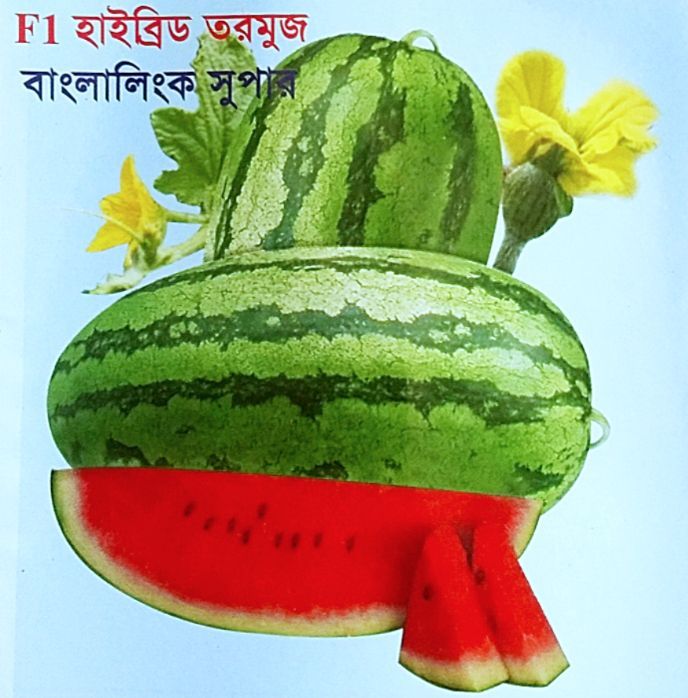 F1 Hybrid Watermelon Banglalink Super 5 gram intact packet seeds ...