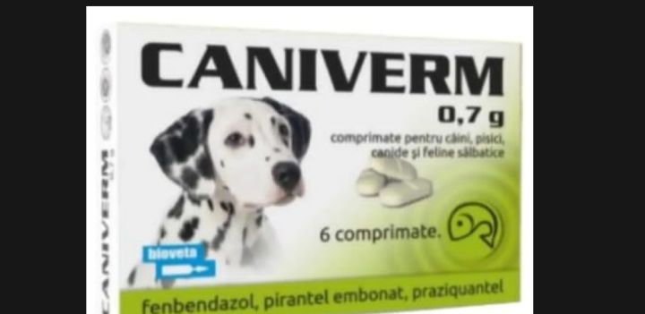 Caniverm Deworming Tablet-For Cats & Dogs- Pack Of 5 Tablet | Daraz.pk