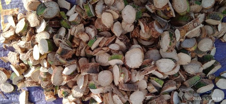 Bojo 50gm / Calamus / Dried Bojho ( Sweet Flag ) - 50 gm Bojo is a very ...