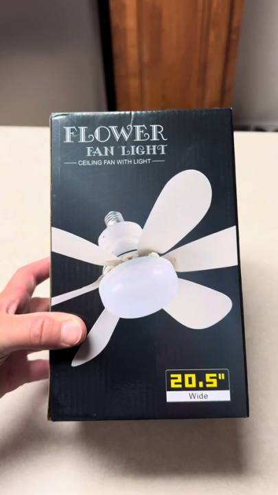 Bull 36Watt Ceiling Fans with Lights, Plug in Low Profile Ceiling Fans ...