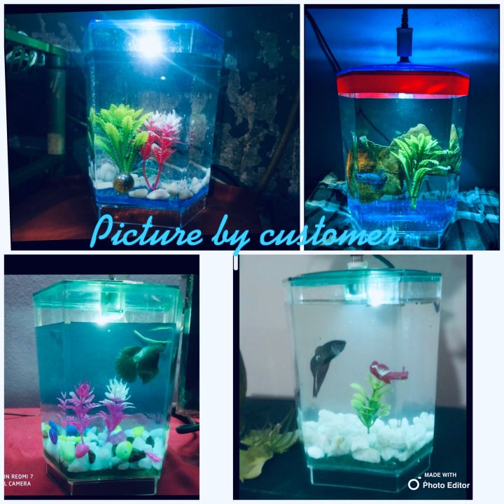 Mini Aquarium || Table Aquarium || Aquarium || betta house Single ...