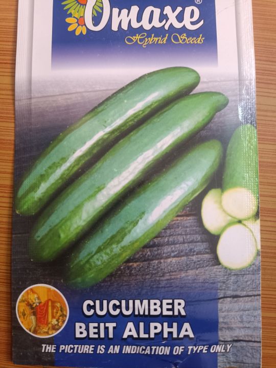 Cucumber Beit Alpha Green Sald Cucumber Seed Packet of 30 Seeds | Daraz ...