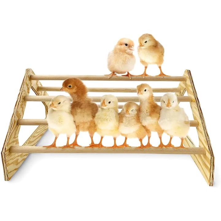 Pet Perch Stand Chicken Roosting Bars Chick Wooden Swing Stand Triangle ...