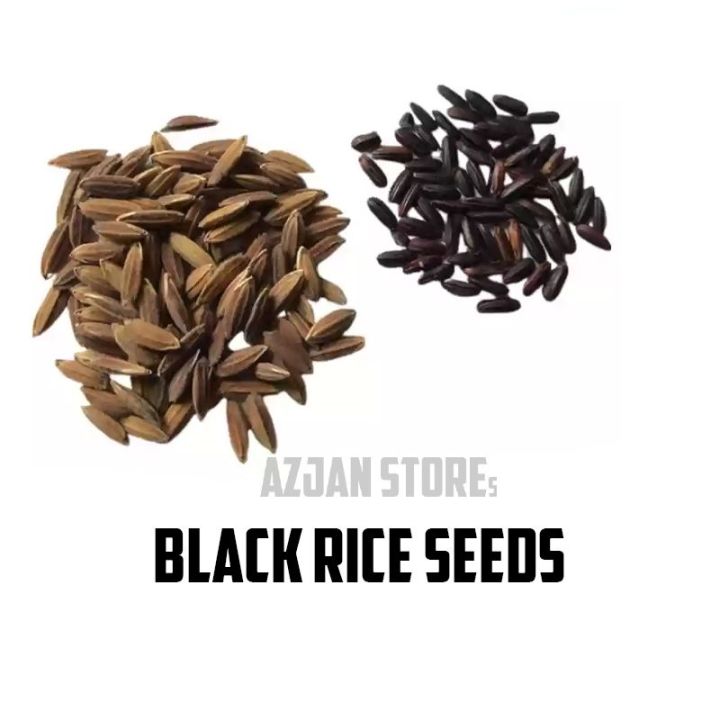 Black Rice Seeds 1 kg pack | Daraz.pk