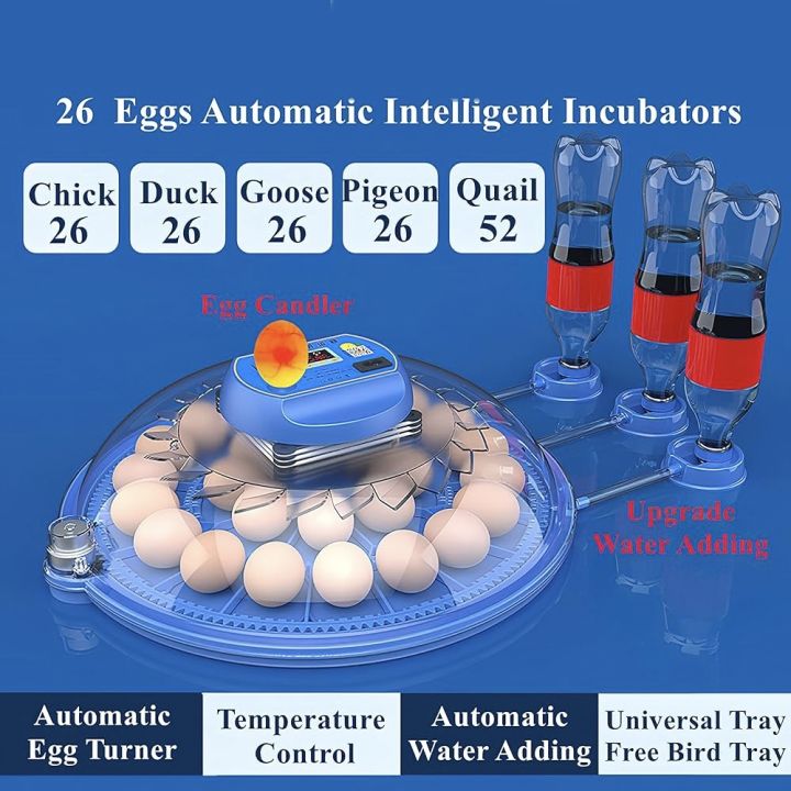 26 Eggs Incubator Mini Upgrade Automatic Brooder Chicken Automatic ...
