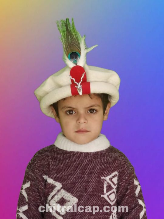 Gilgiti Cap for Kids • Gb Cap for kids • Gilgiti Cap with Markhor and ...