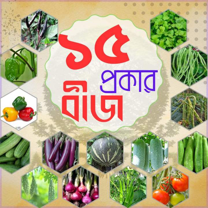 15 Type Vegetables Seed Combo Package ( High Quality Seed) | Daraz.com.bd
