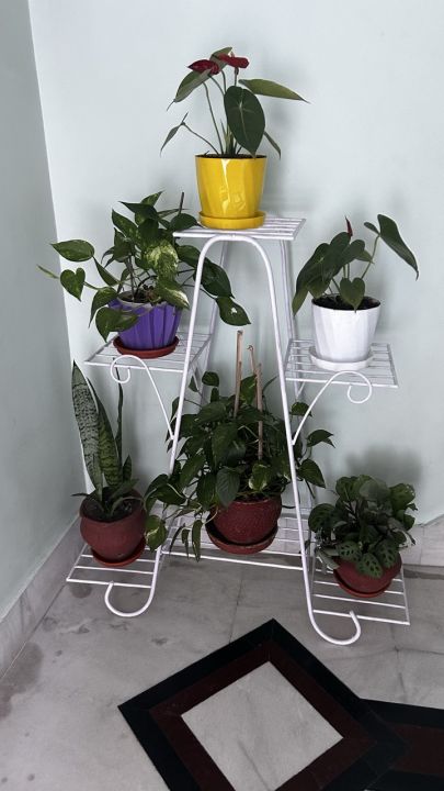 Metal Gamala Stand Flower Pot Holder 6 Pot Holder | Daraz.com.np