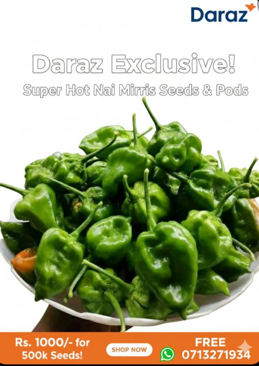 scotch bonnet Nai miris seeds | Daraz.lk