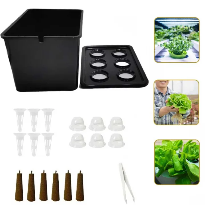 Indoor Hydroponic Seedling Starter Kit for Balcony Gardening - Soilless ...