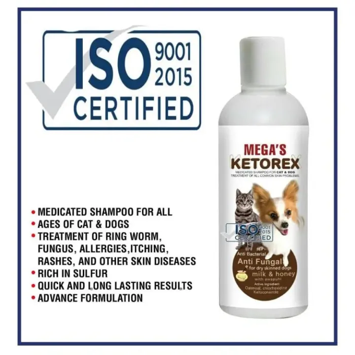 MEDICATED SHAMPOO - KETOREX - ISO CERTIFIED - TREATMENT FOR MOST COMMON ...