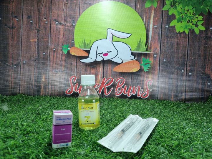 Ivermectin Pack for Rabbit Deworming Course / Mites Treatment | Daraz ...