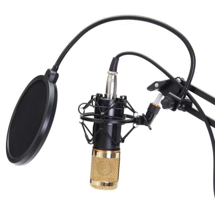 Professional Recording Microphone | Daraz.lk