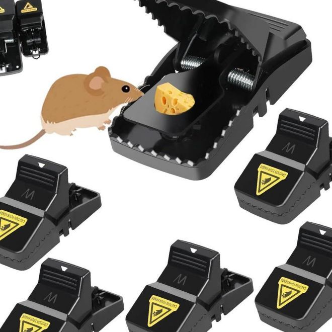mouse trap mouse 🐁 catcher | Daraz.pk
