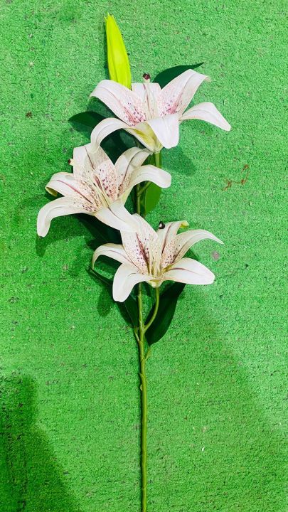 long flower stem bunch for vase decor customized | Daraz.pk