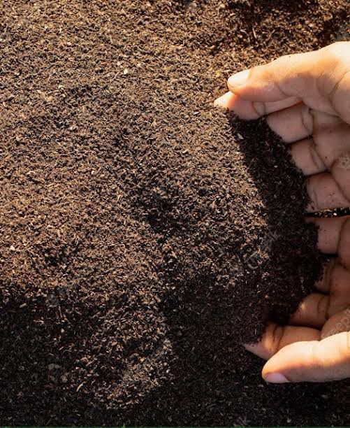 Vermi Compost 5kg | Daraz.com.bd