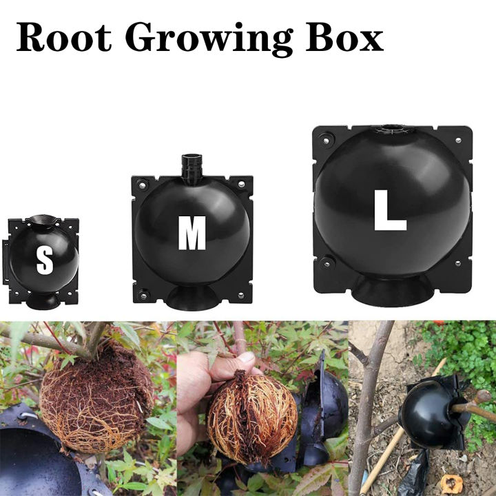 Tree Root Growing Box Reusable Rooting Ball Grafting Tools Asexual ...