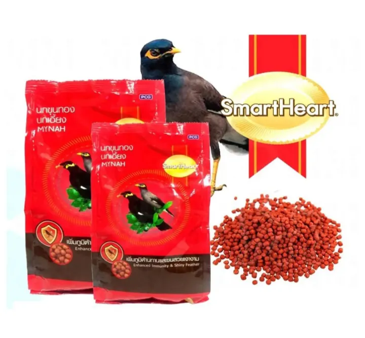 Smart heart for Moina bird food-1Kg | Daraz.com.bd