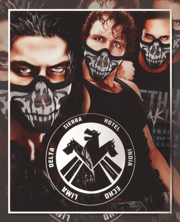 WWE The Shield Sticker | Daraz.pk
