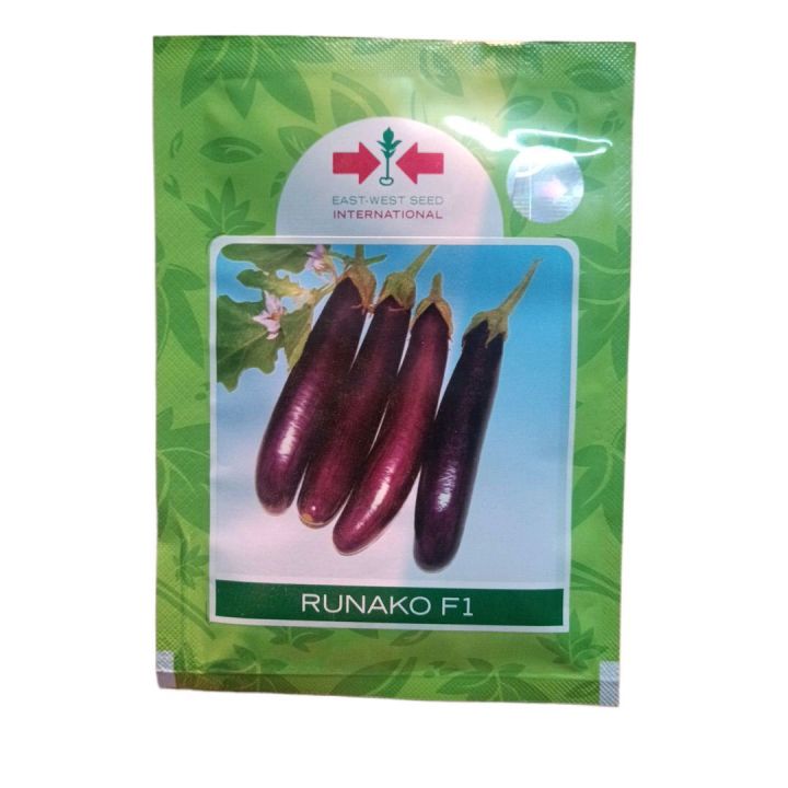 Runako Hybrid Brinjal Vegetable seeds 10 gm | Daraz.com.np