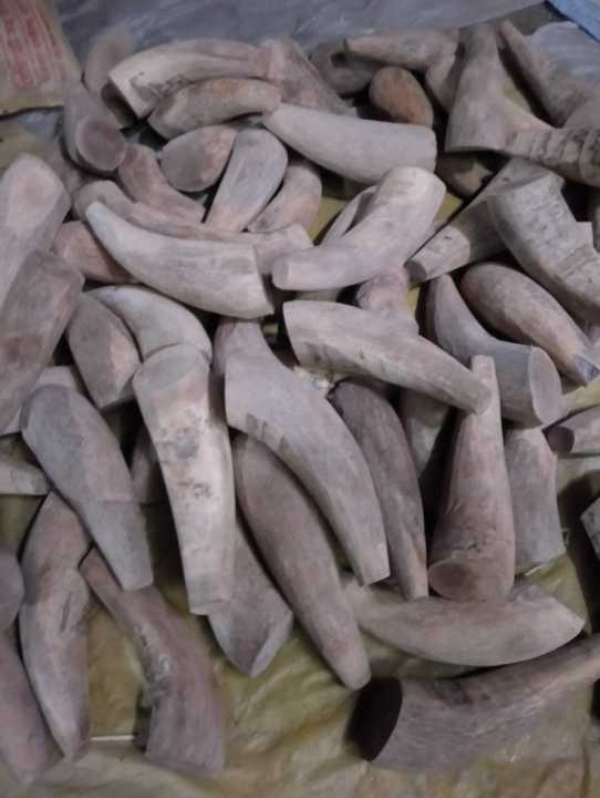 only ghutna | Daraz.com.bd: Buy Online at Best Prices in Bangladesh ...