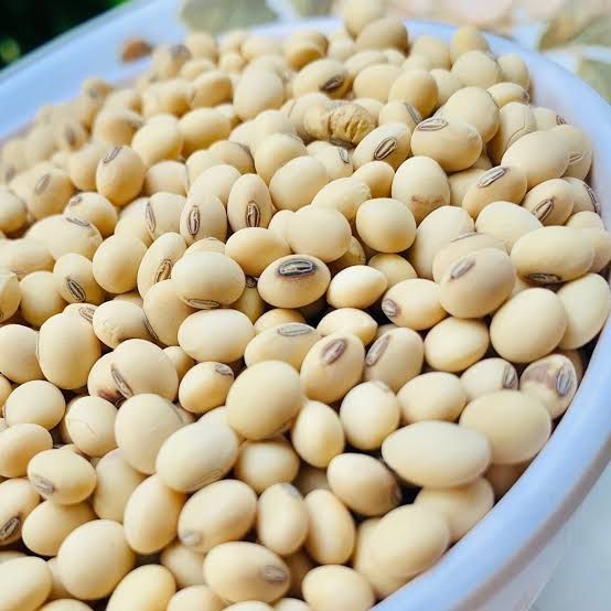 Soya Bean Seeds | Soyabean Dana | Protein & Natural | 1kg | Daraz.pk