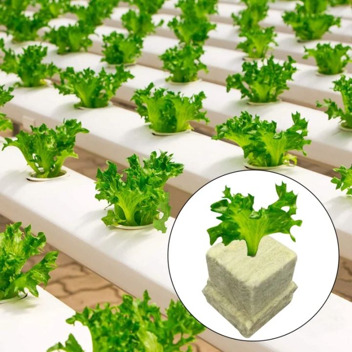 50pcs 25x25x25mm Stonewool Hydroponic Grow Media Cubes Plant Cubes ...