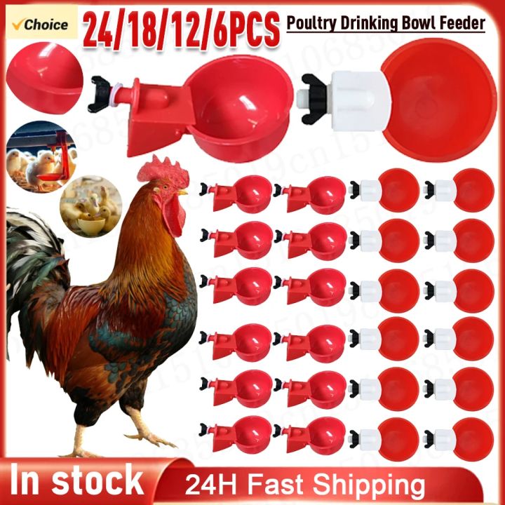 24-6Pcs Chicken Drinking Cup Automatic Duck Drinker Chicken Feeder ...
