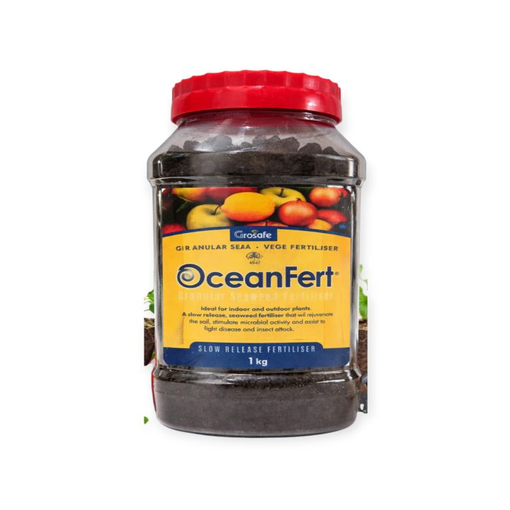 Ocean Fert Granular Seaweed Fertilizer (1KG) Made In New Zealand 100% ...