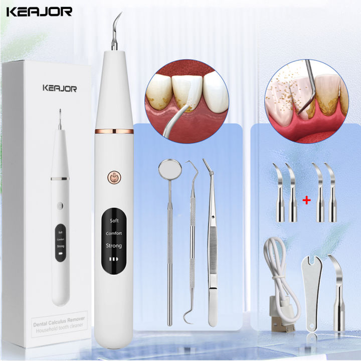 Dental Calculus Remover Ultrasonic Tooth Cleaner Tartar Eliminator ...