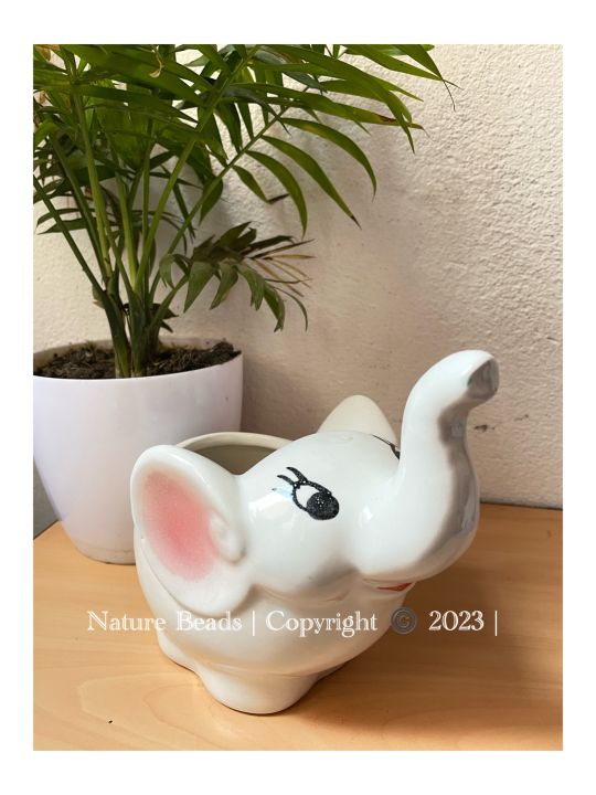 White Ceramic 4 inch Elephant Indoor Pot | Daraz.com.np